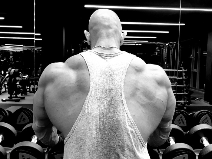 Trapézy :: Fitnessirongym